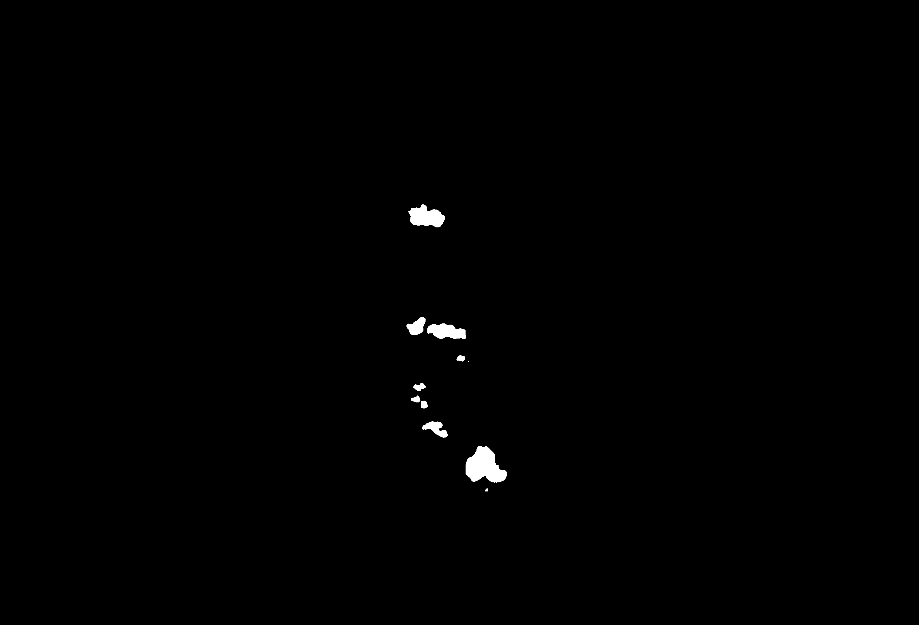 Astronaut Photo ISS006-E-38878 SOCIETY ISLANDS
