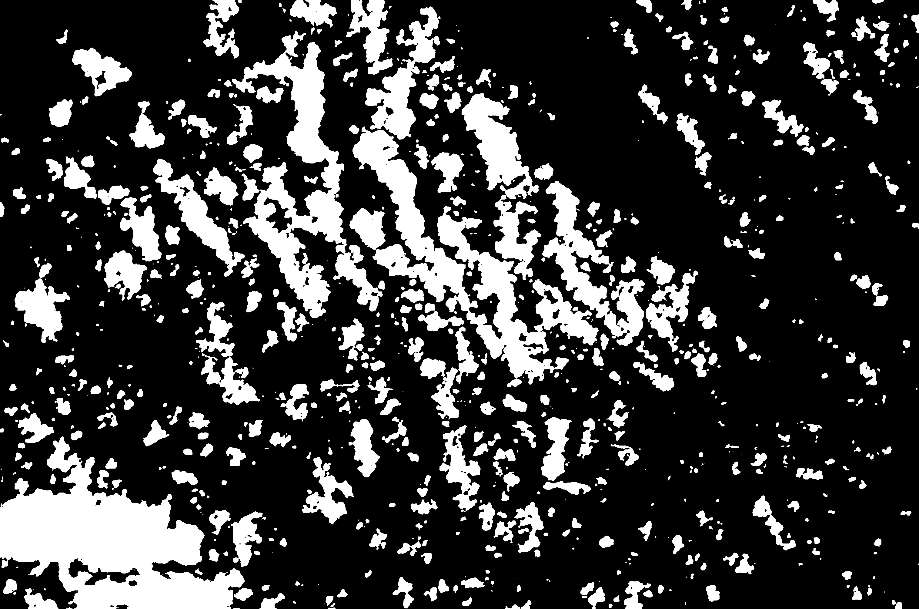 Astronaut Photo ISS012-E-8038 MEXICO