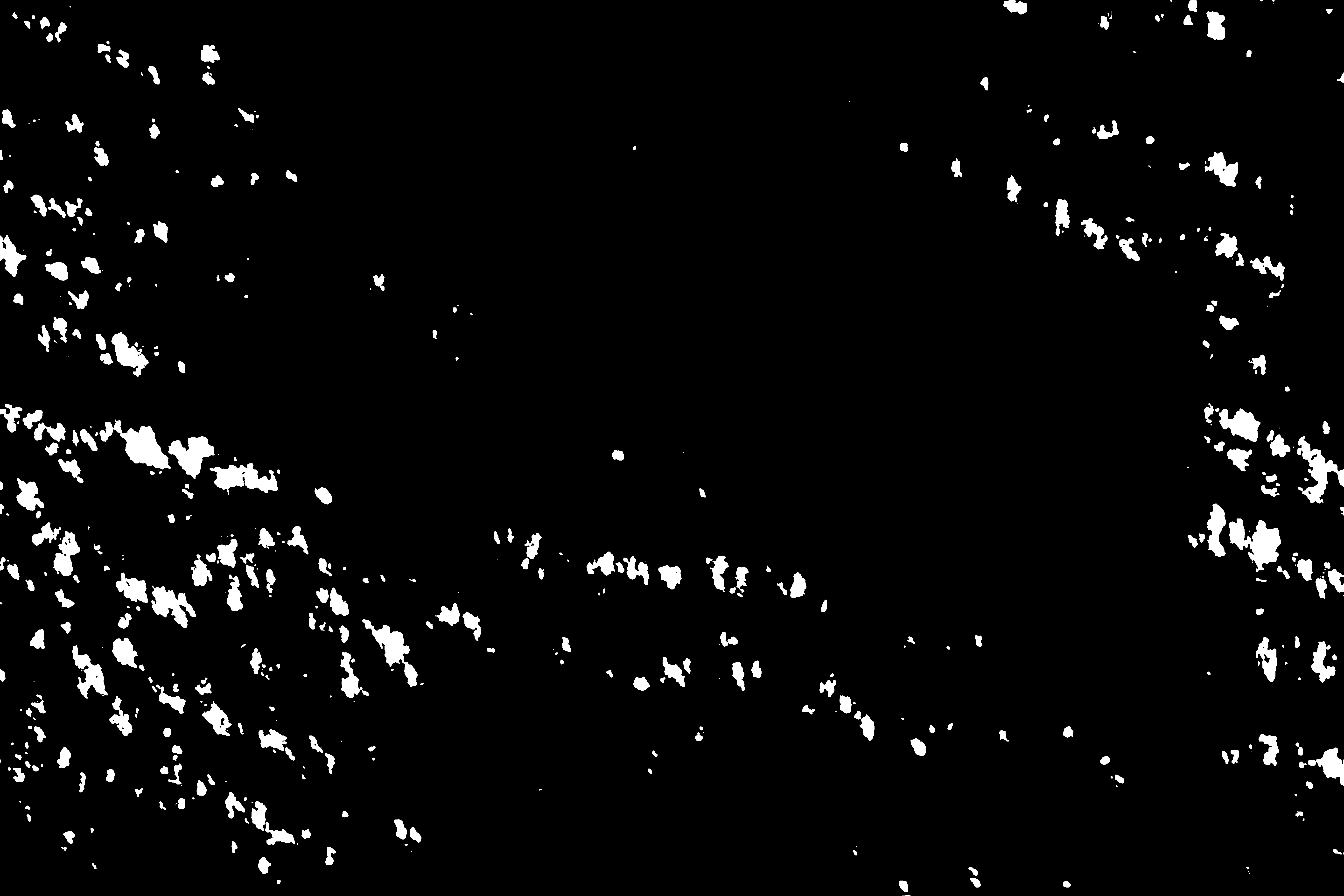 Astronaut Photo ISS069-E-5393