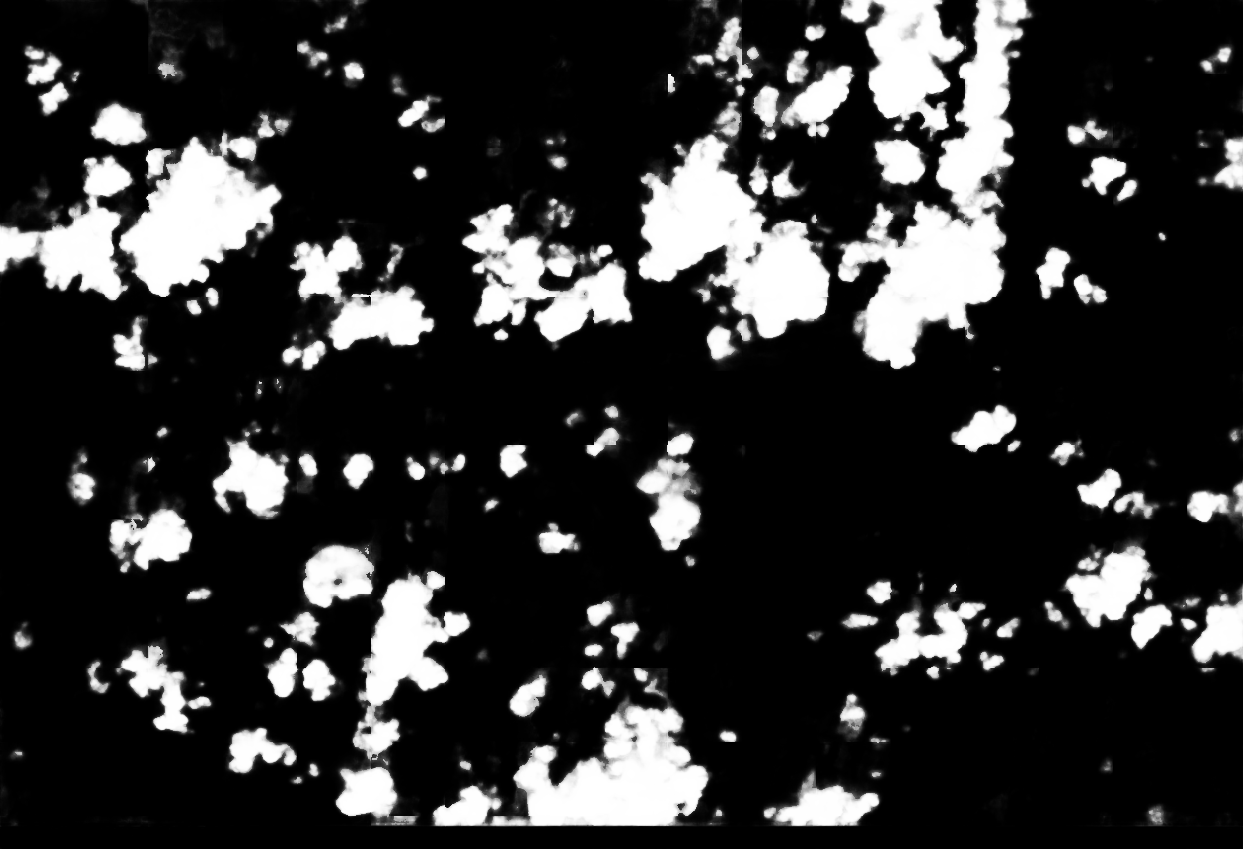 Astronaut Photo ISS022-E-23154 SEYCHELLES