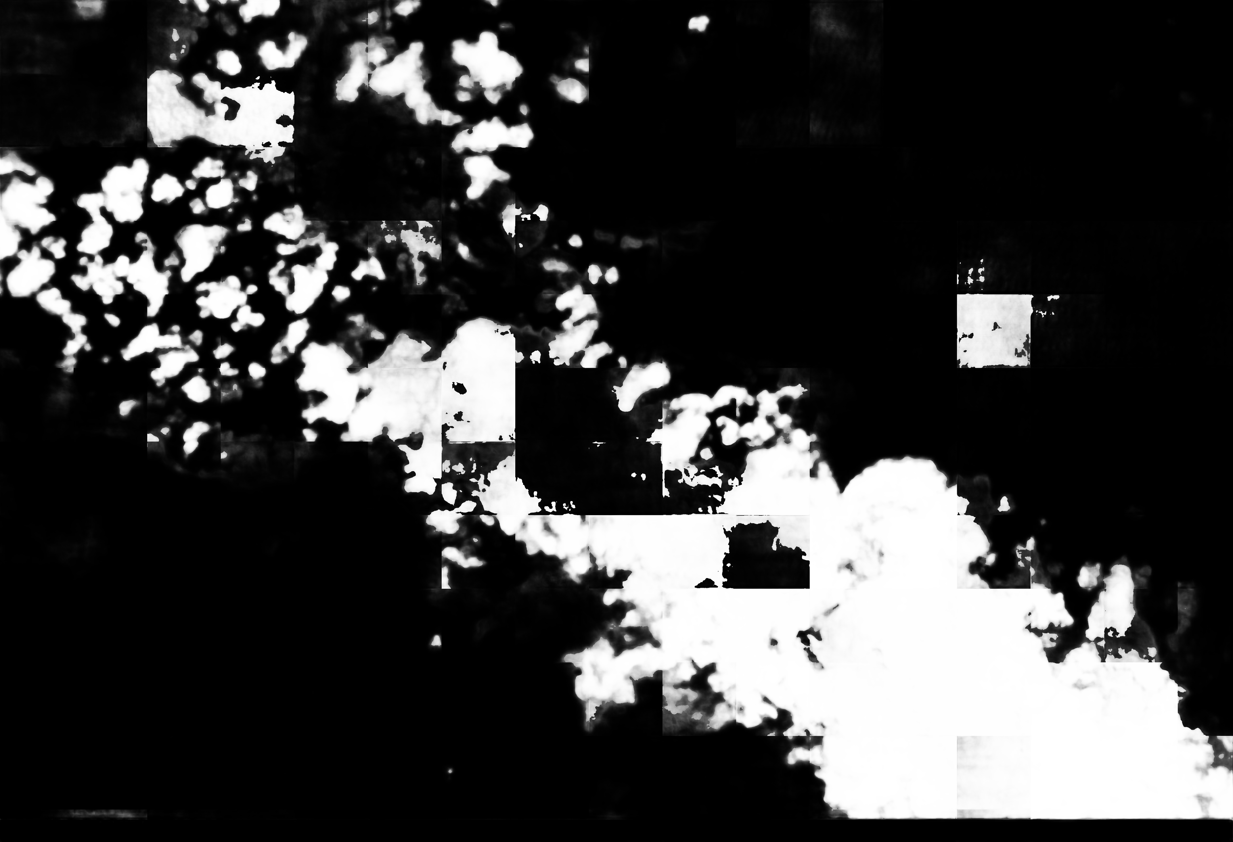 Astronaut Photo ISS022-E-94379 SEYCHELLES