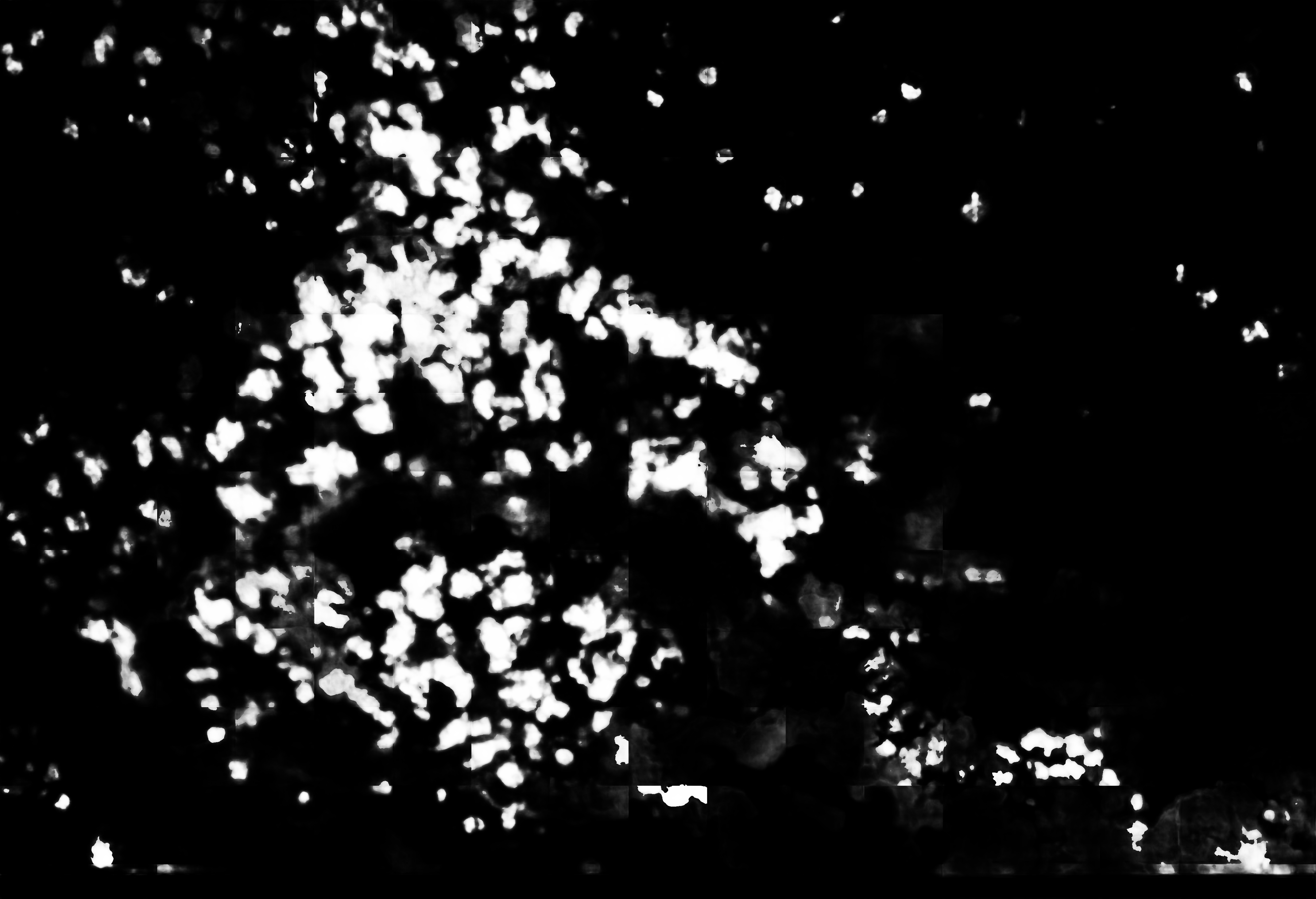 Astronaut Photo ISS022-E-94392 SEYCHELLES