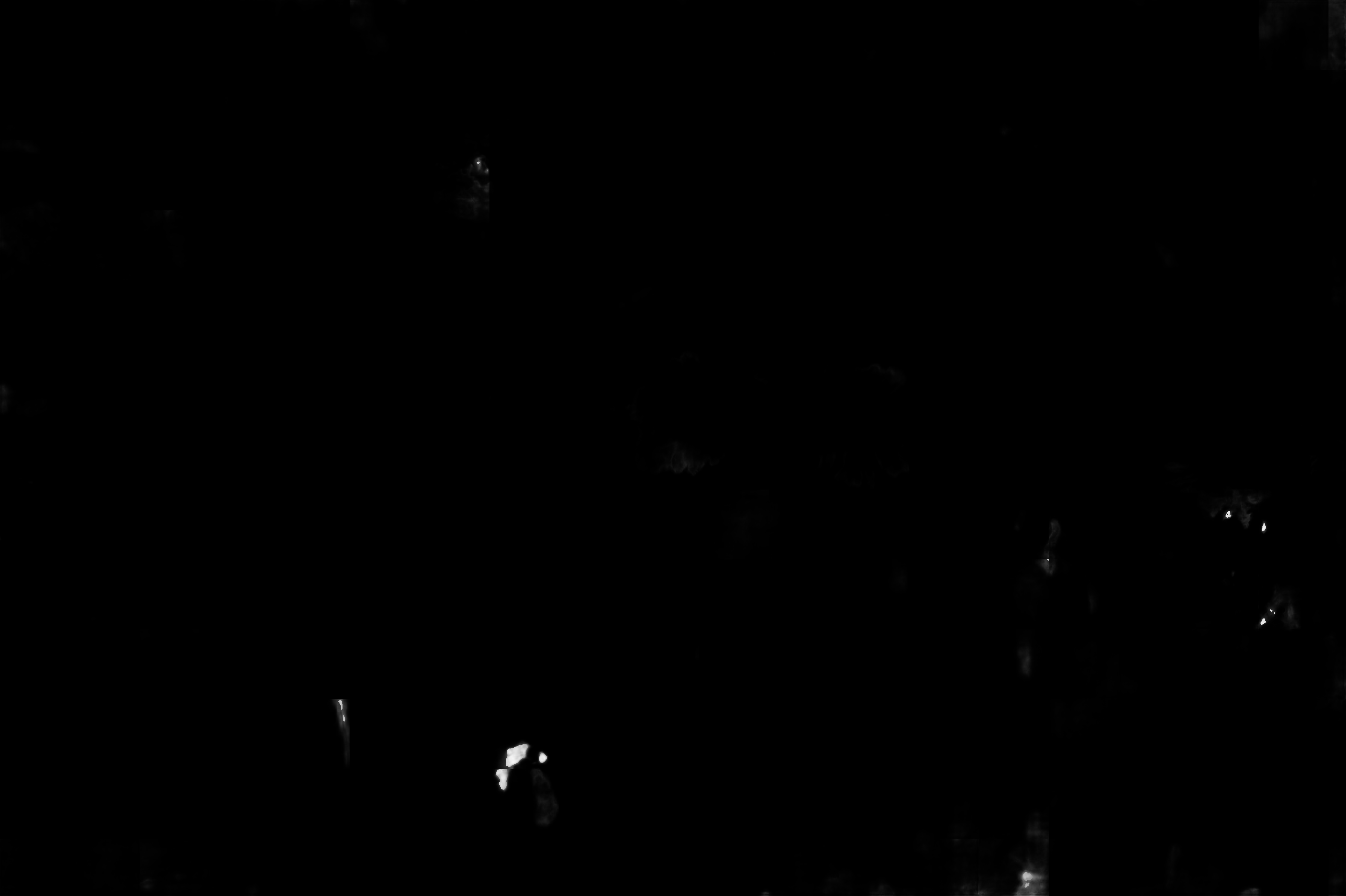 Astronaut Photo ISS052-E-11547