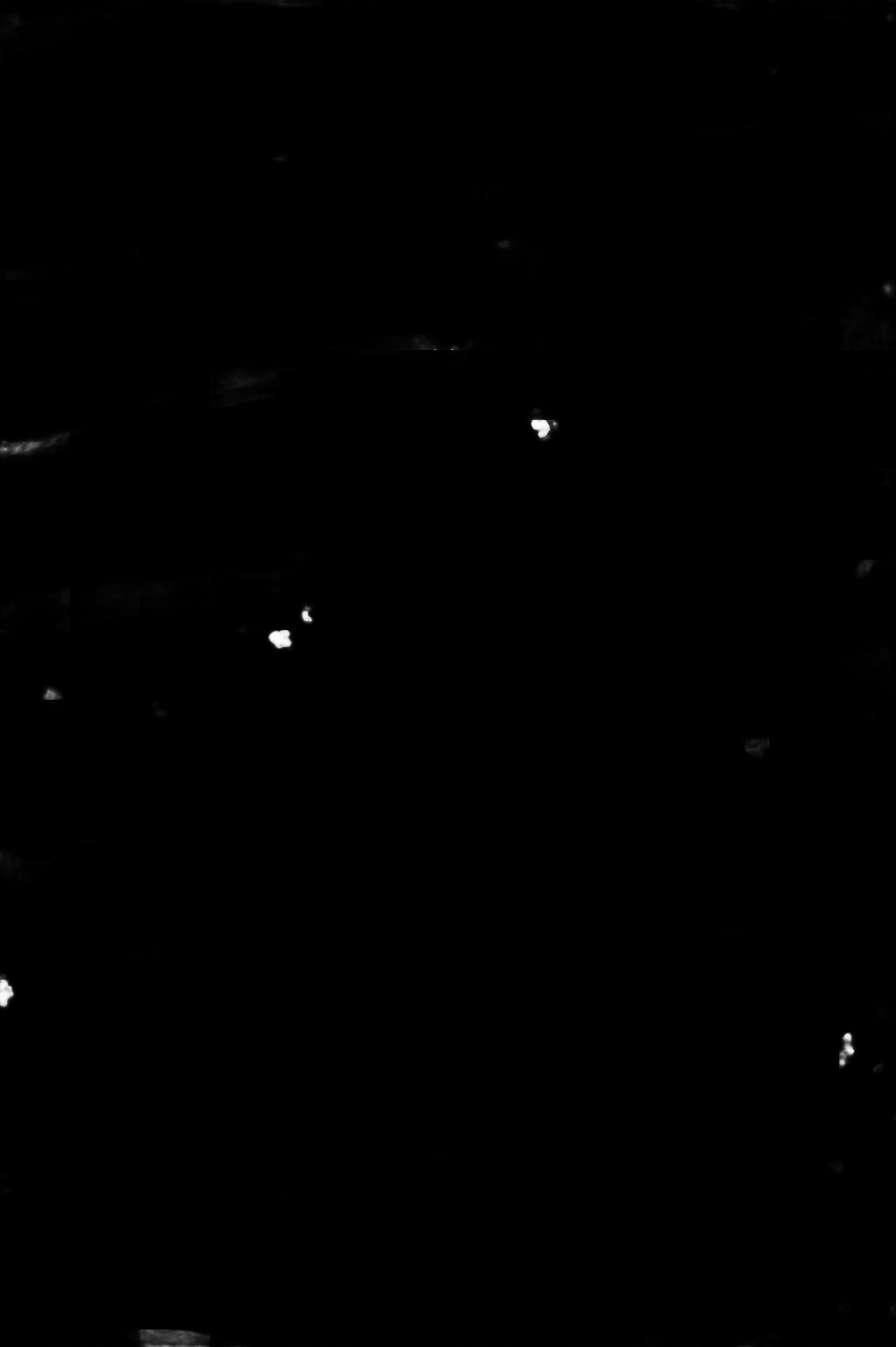 Astronaut Photo ISS052-E-78425