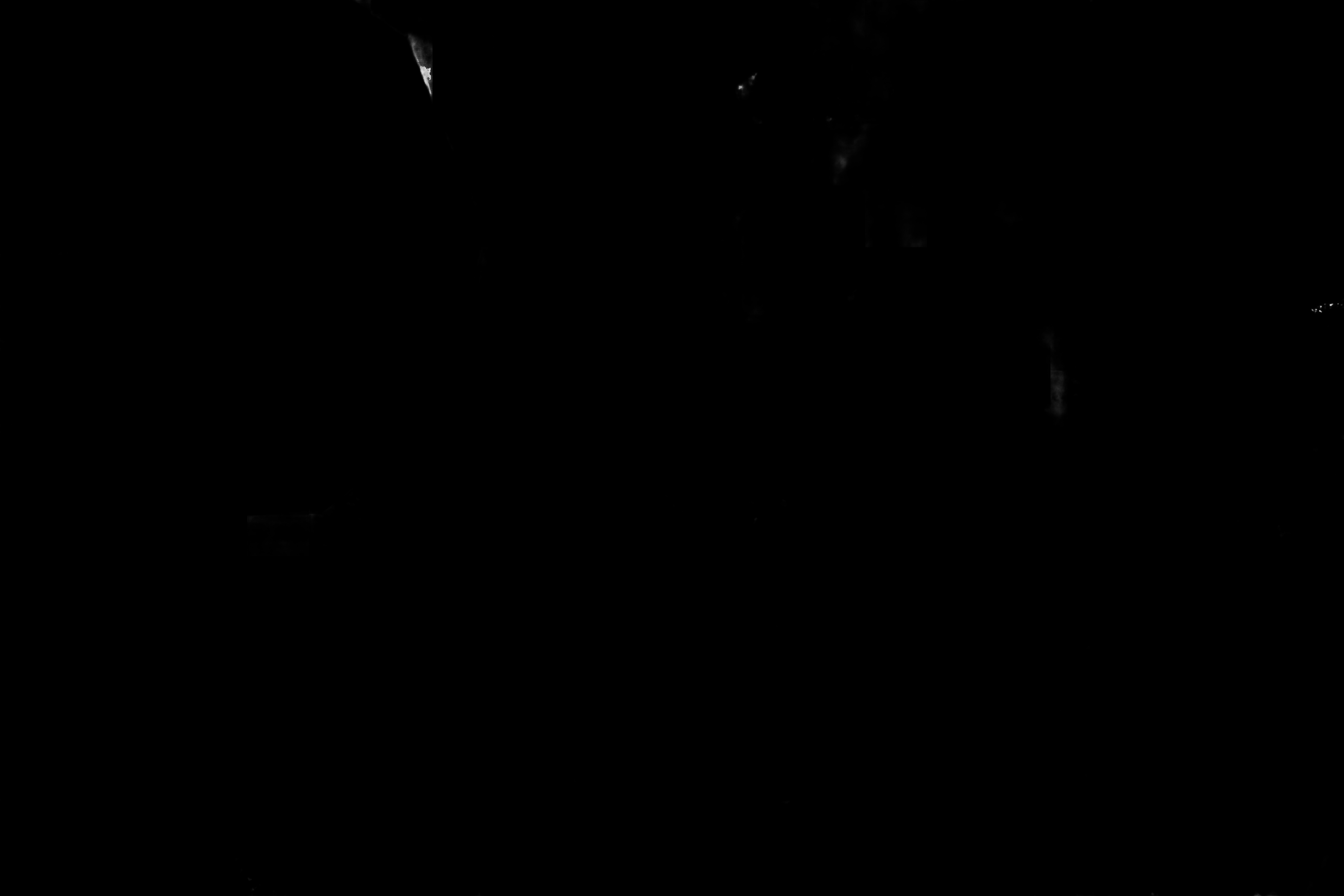 Astronaut Photo ISS067-E-187420