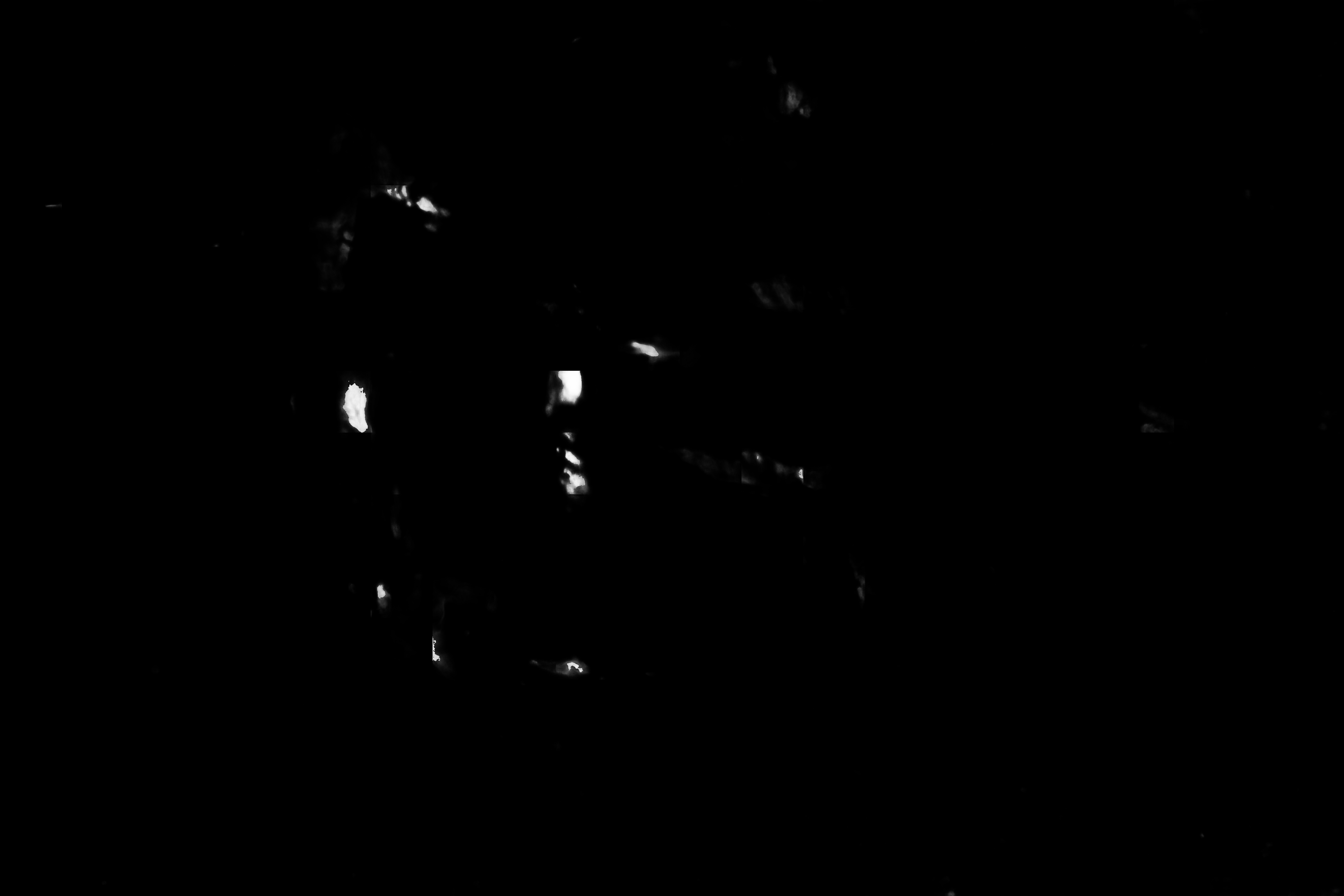 Astronaut Photo ISS069-E-16900