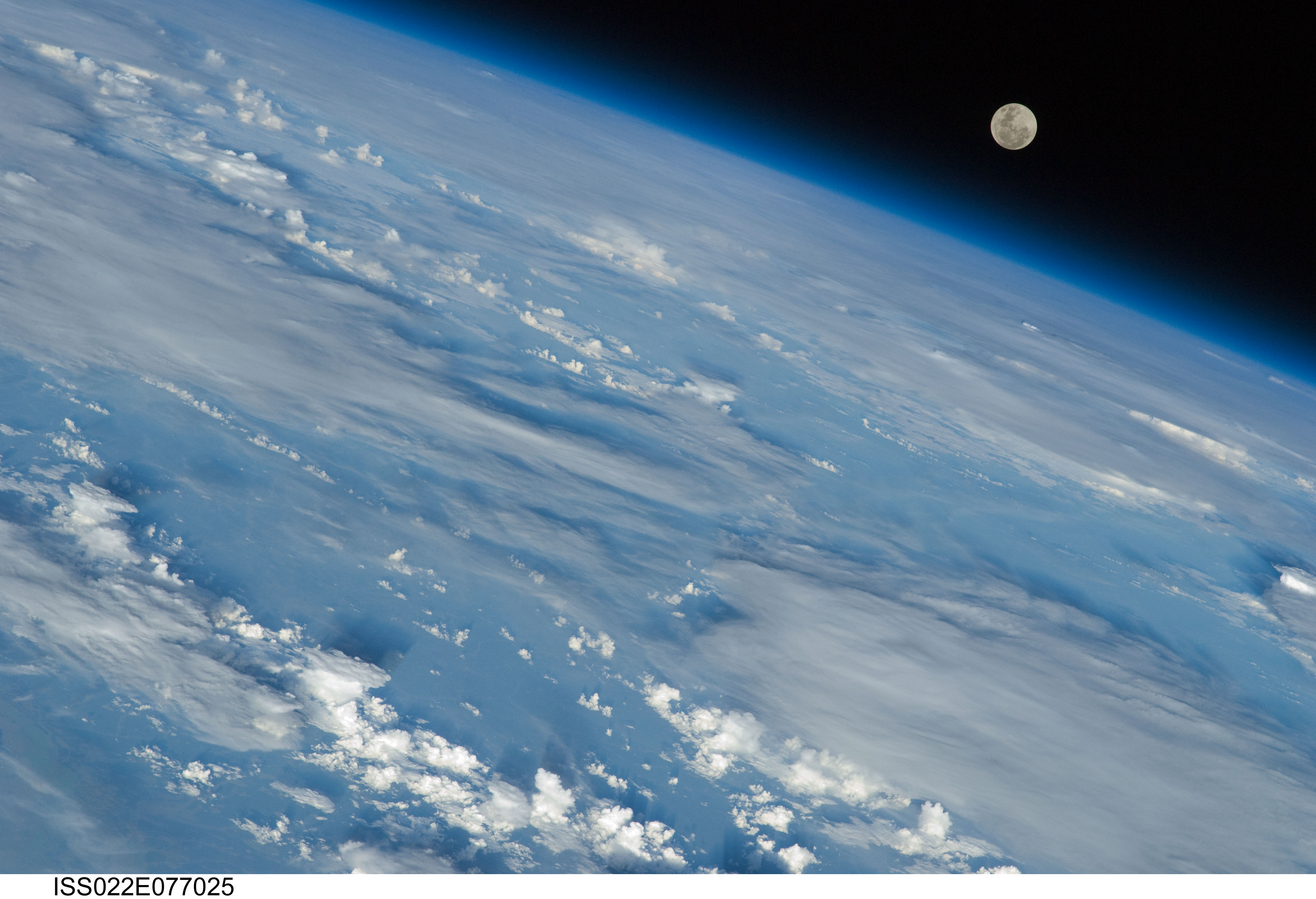 Astronaut Photo ISS022-E-77025