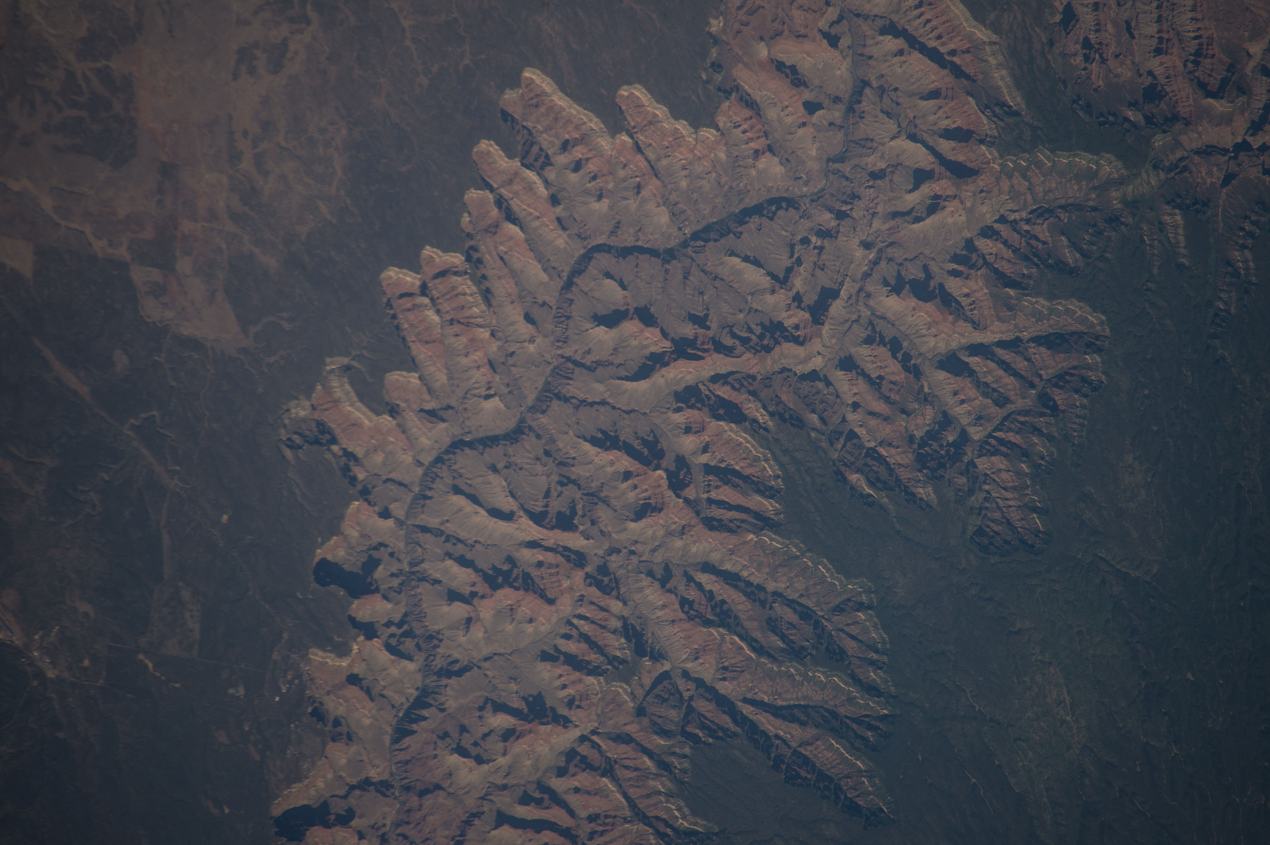 Astronaut Photo ISS048-E-11269 USA-ARIZONA
